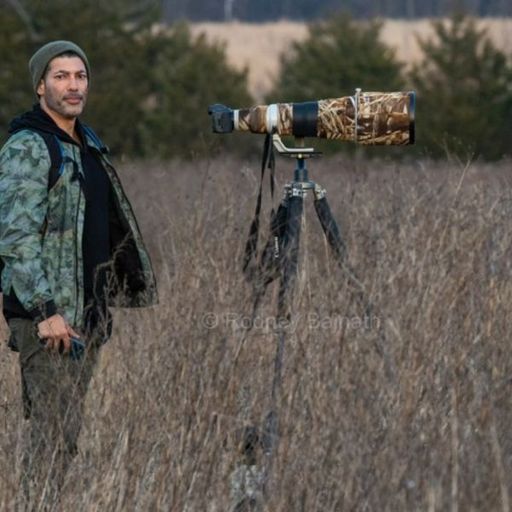 shy peled — YouPic