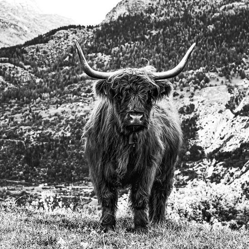 Stefan Dubach — YouPic