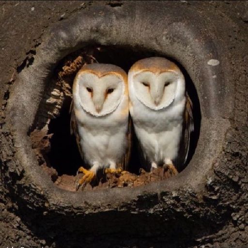 John Barnard — YouPic