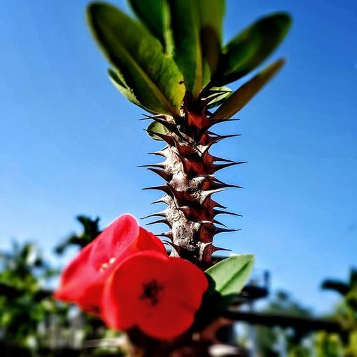 Cloud by Saumitra Baishya — YouPic