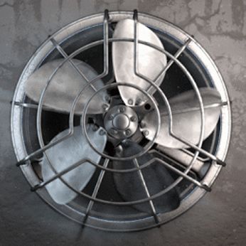 Black Mango Photography — YouPic