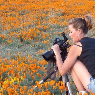 Janice Sullivan — YouPic