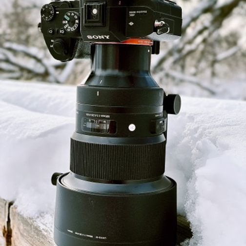 Rolando Merida — YouPic