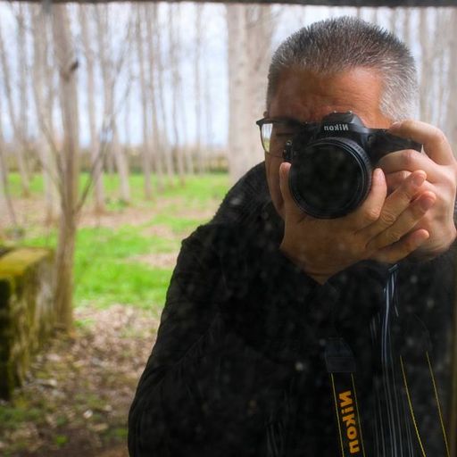 Summer by Cosimo Antitomaso — YouPic