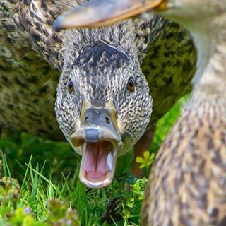 Victor Kelly — YouPic