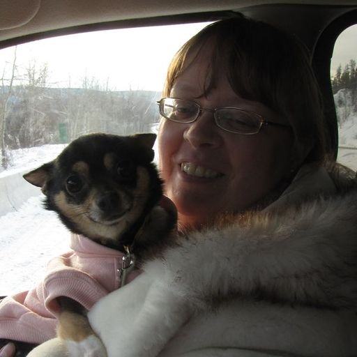 susan soderstrom — YouPic