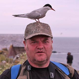 John Molloy — YouPic