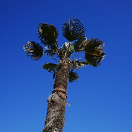 Ken Imamura — YouPic