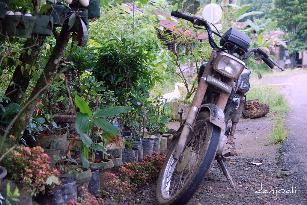 old bike.. Labo, Camarines Norte by danny aliben — YouPic