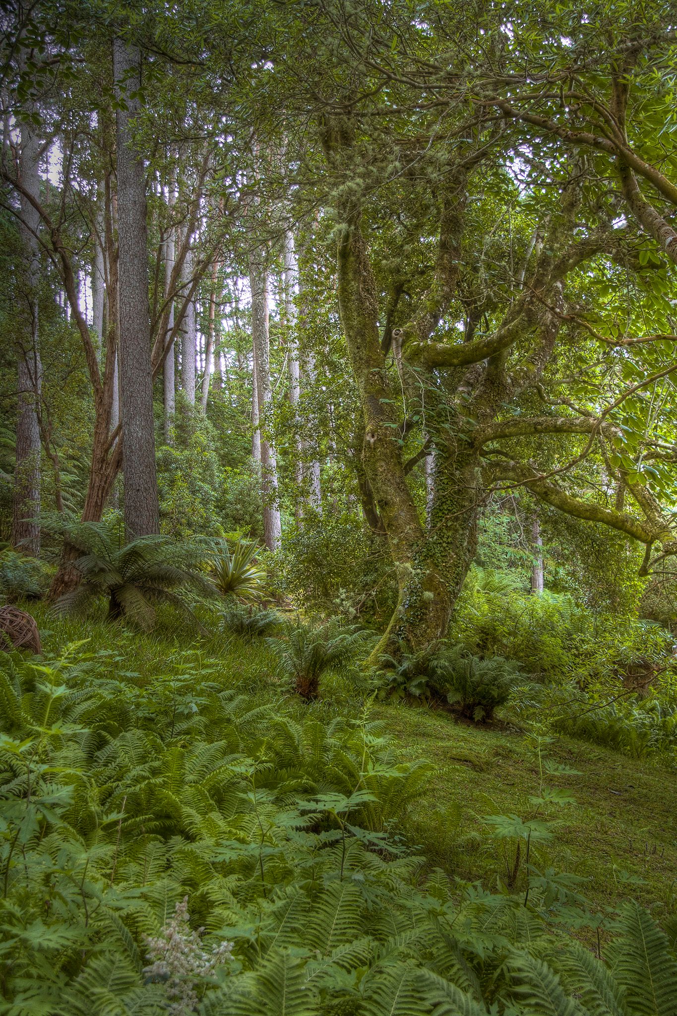 Inverewe Garden by harald.seiwert — YouPic