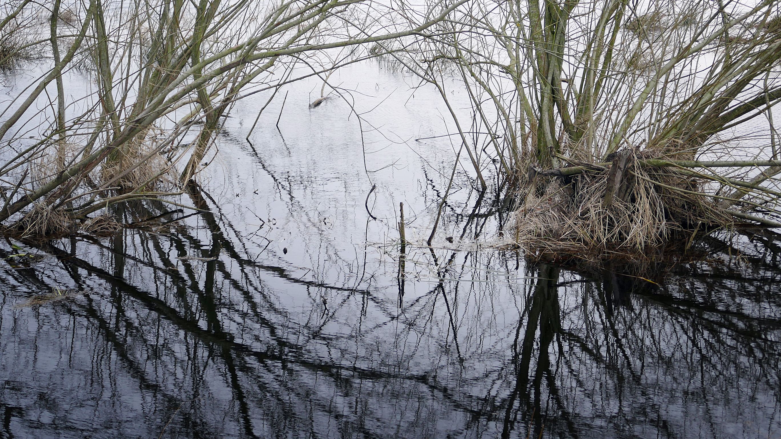 fragile reflection by volwtt — YouPic