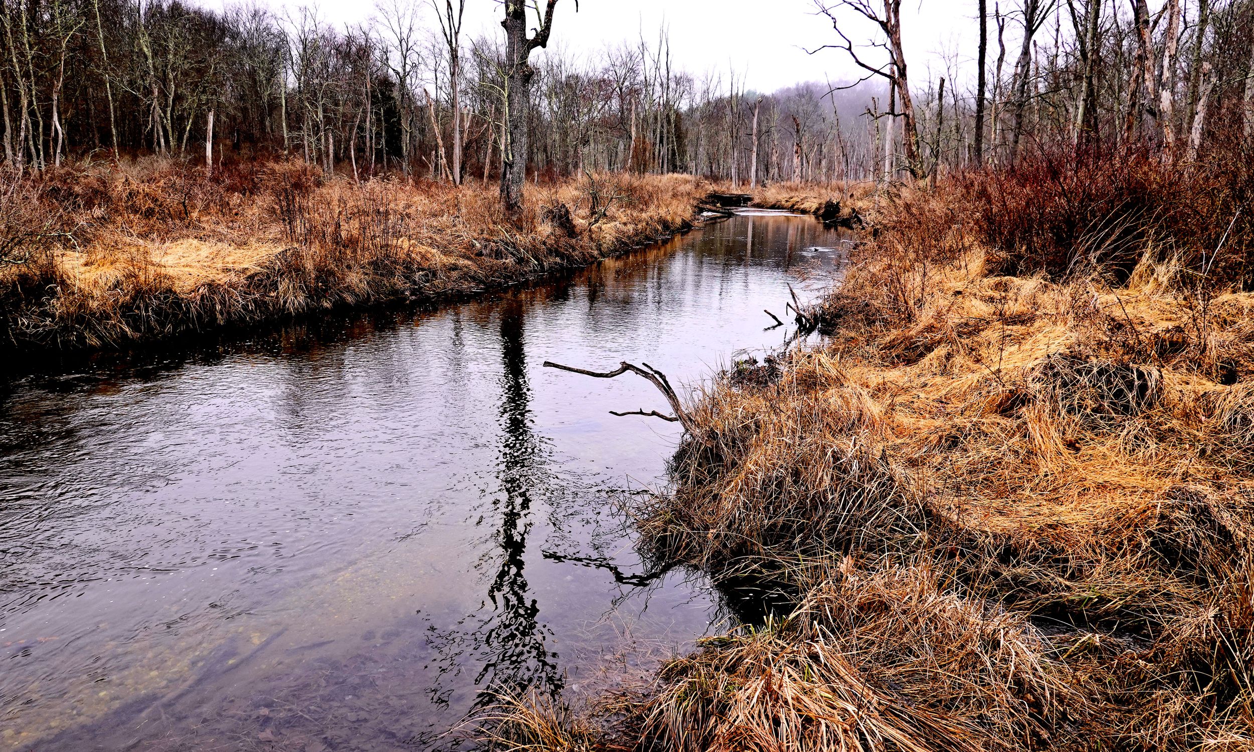 Winter Stream by Joeski — YouPic