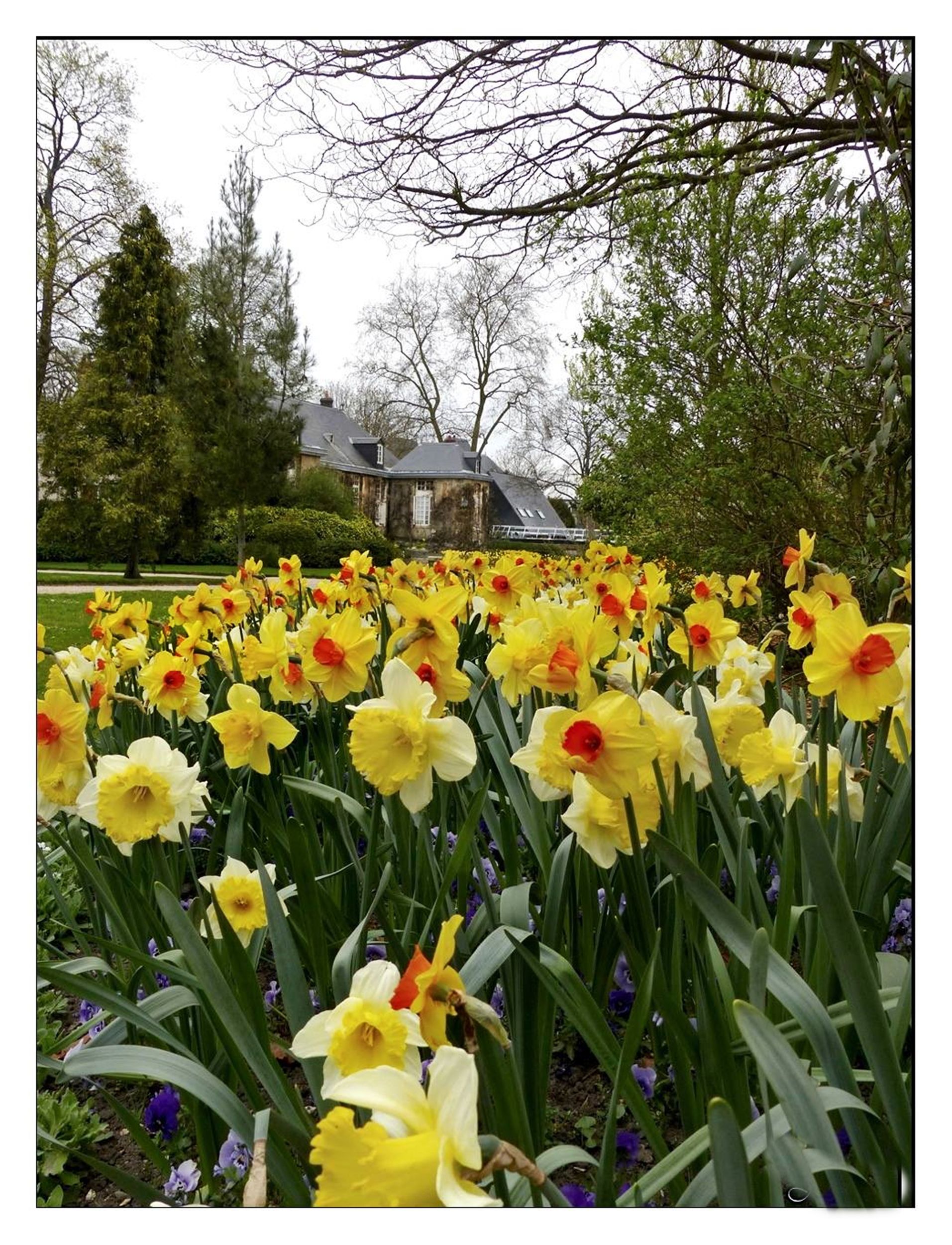 C'est le printemps by Marco photos Marc — YouPic
