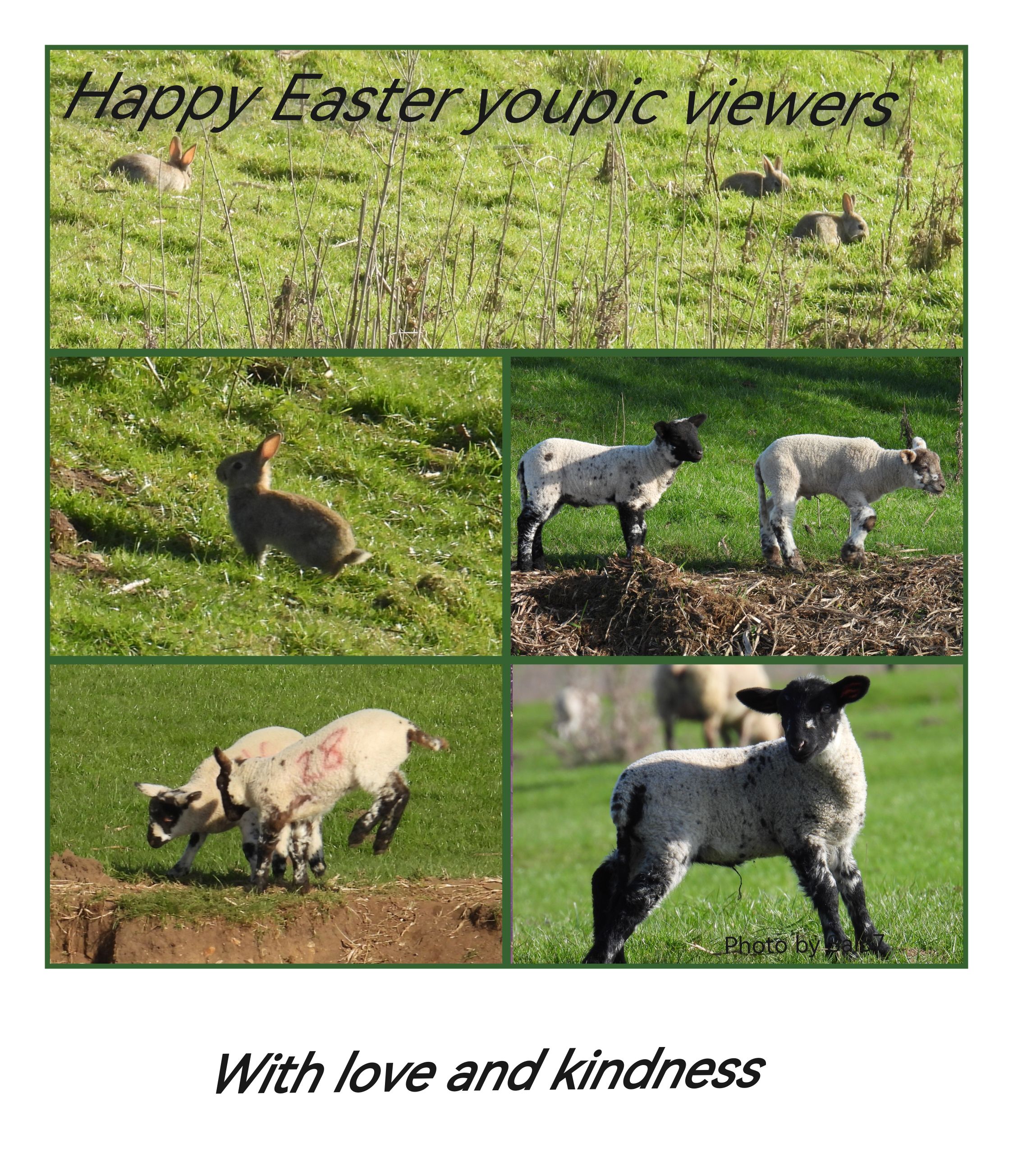 Happy Easter by Sal67 — YouPic
