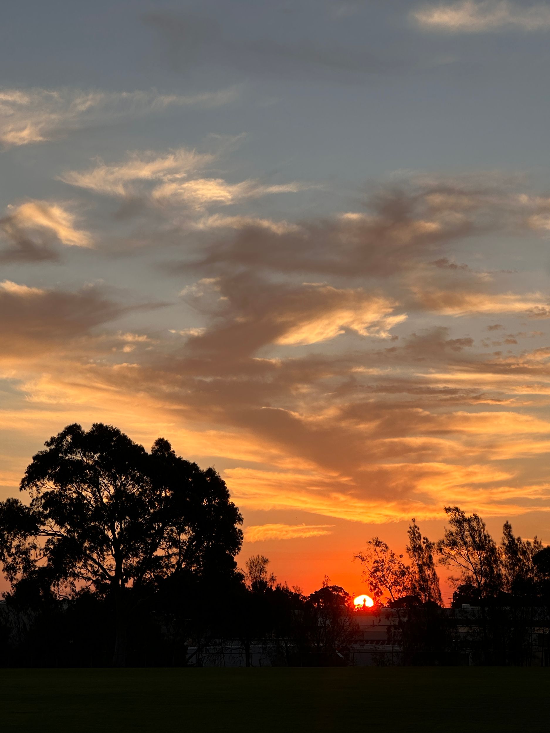 Local sunset by D.studio — YouPic