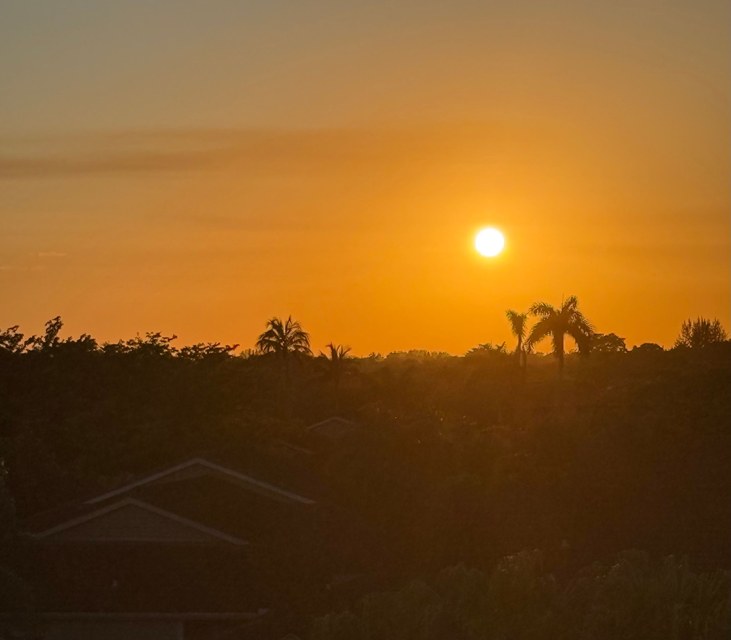 IMG_0174 by Daniel Bryan Miles — YouPic