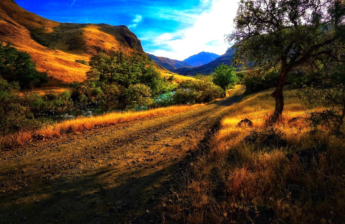 Art Richards - Photographer - YouPic