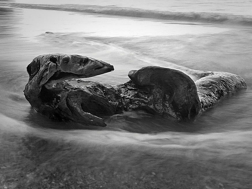 TonyG - Photographer - YouPic