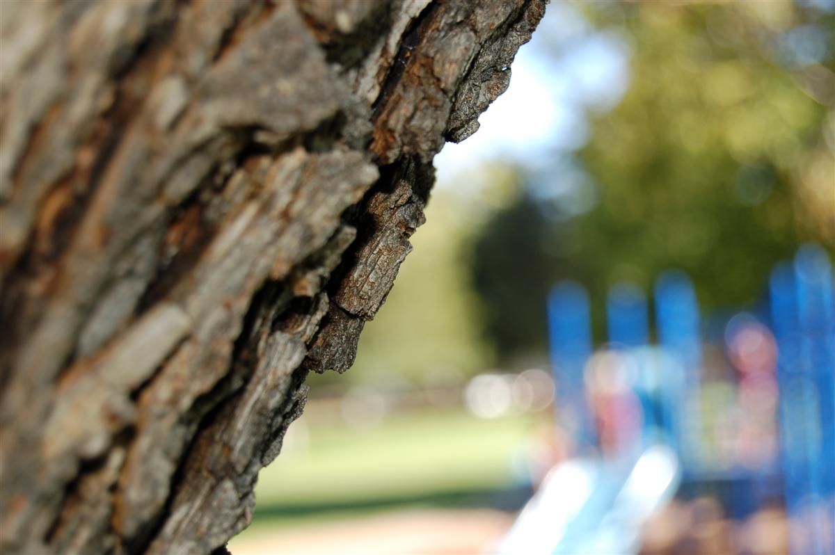 Brian Wiegand - Photographer - YouPic