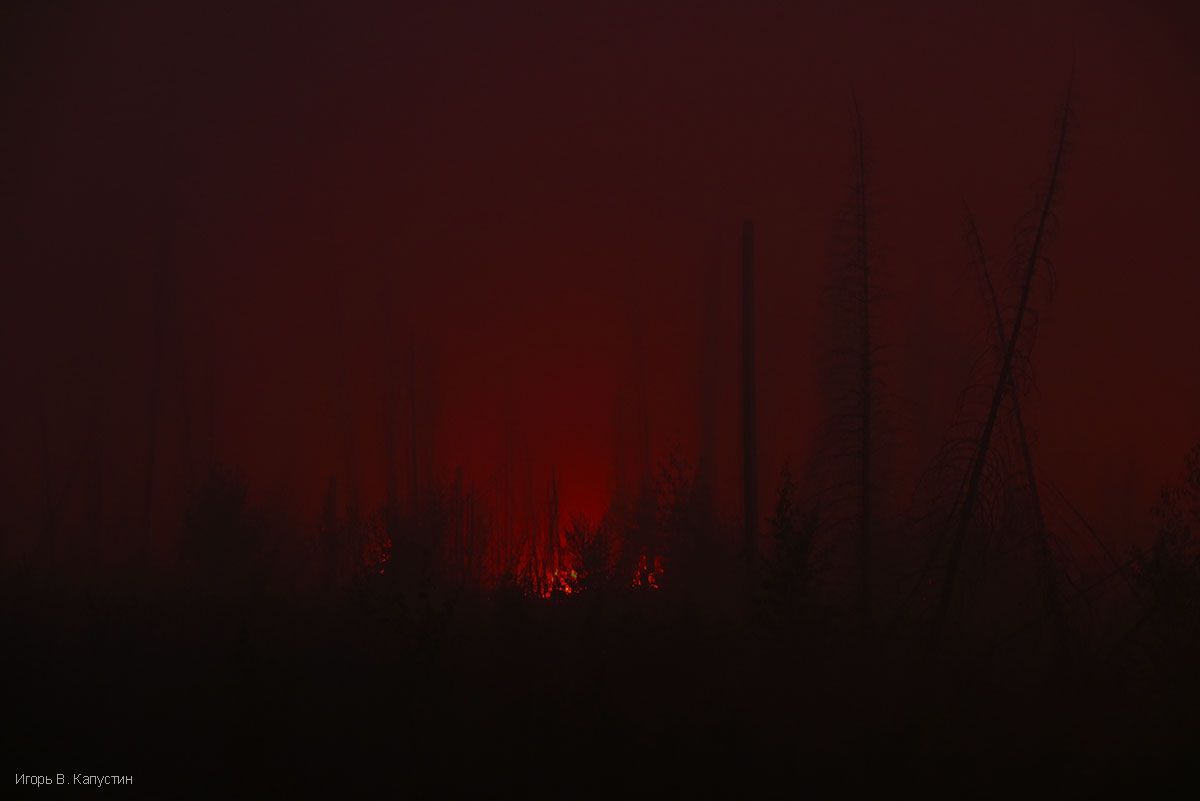 Igor V. Kapustin - Photographer - YouPic