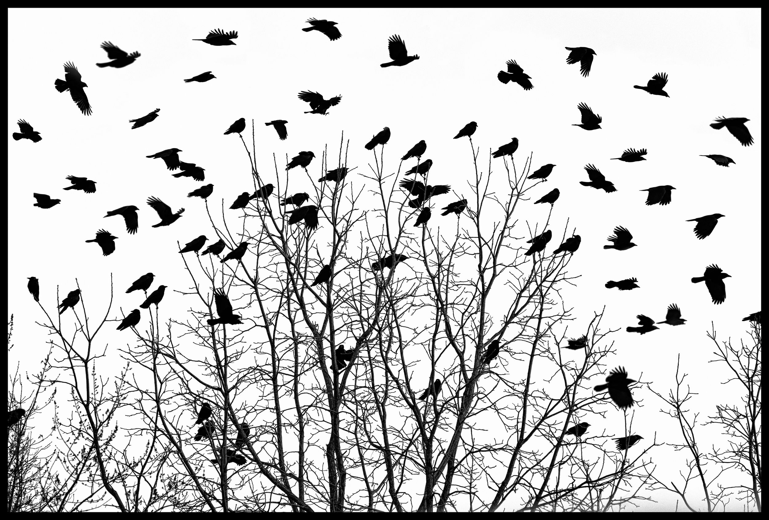 Murder by Dan Rowland on YouPic