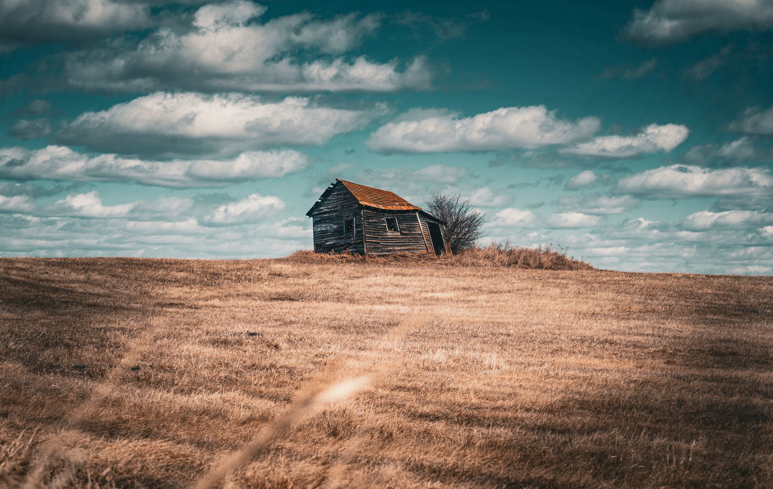 In a windy field by Caitlin Rigney on YouPic