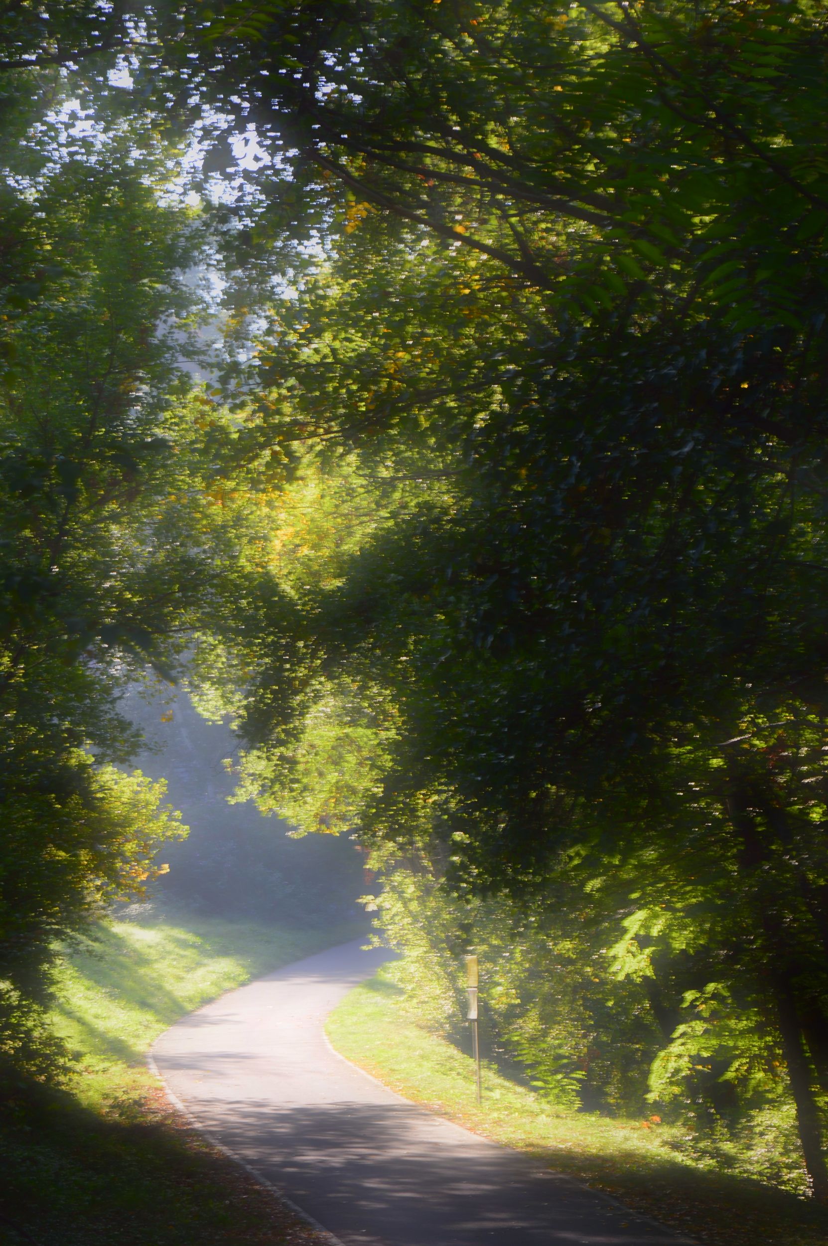 Promenade by Jean Jacques Quénel on YouPic