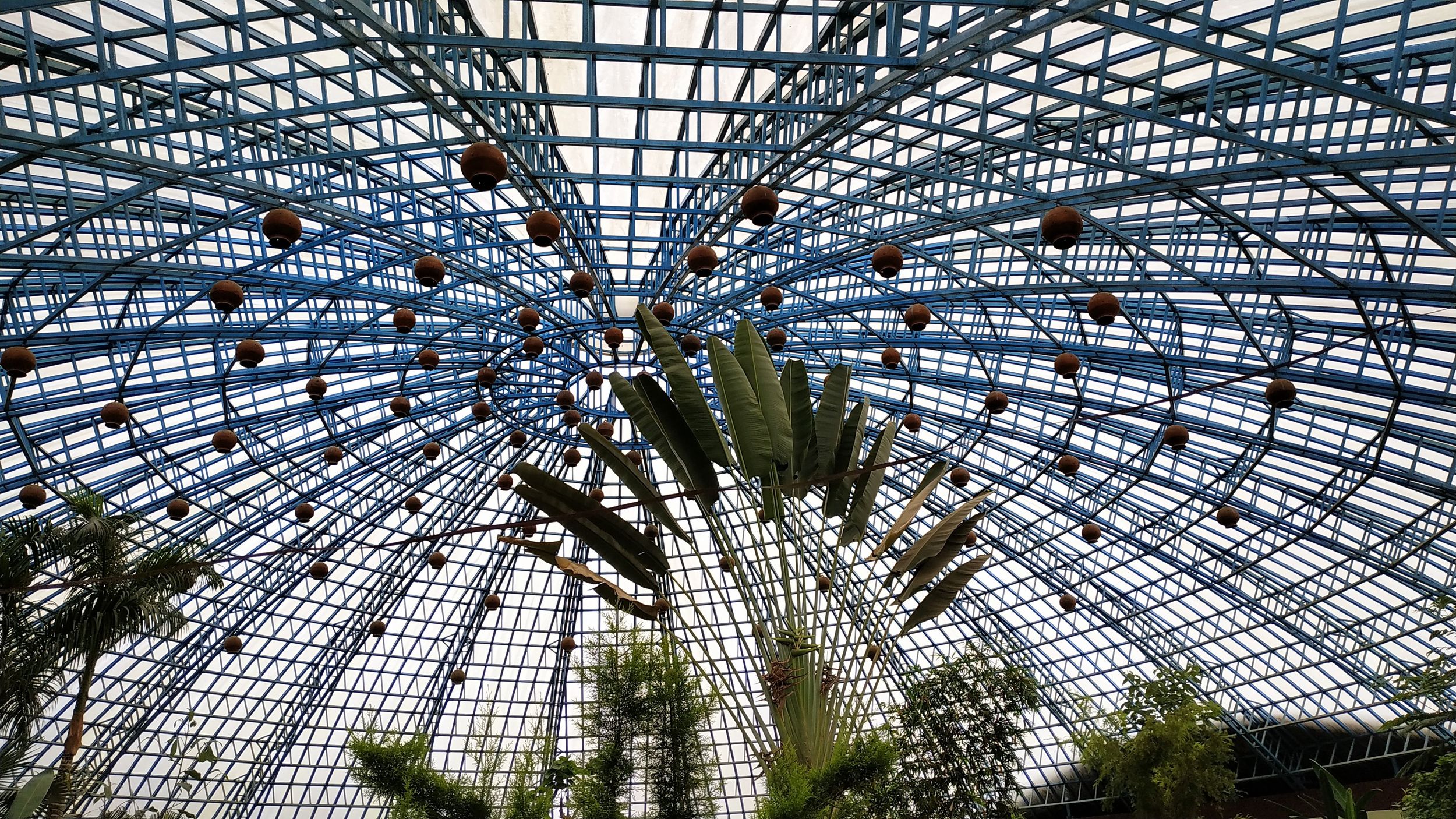 Nature dome by Neeraj Pandey on YouPic