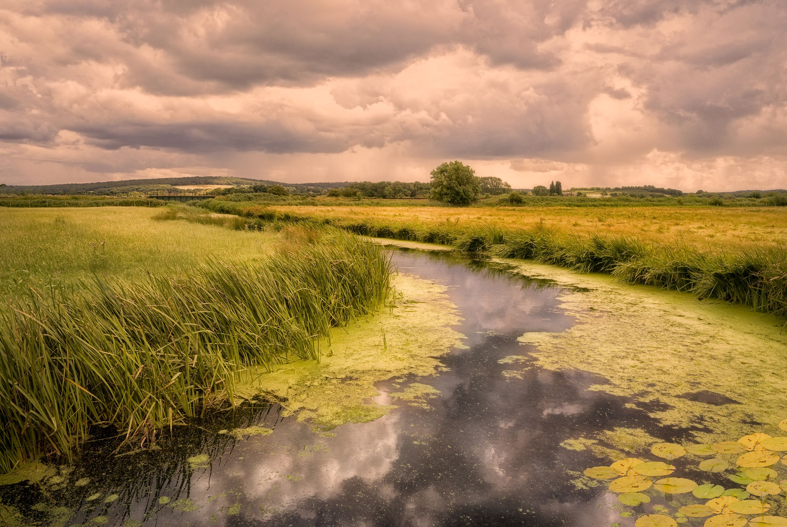 Marshlands by OPENPAGE on YouPic