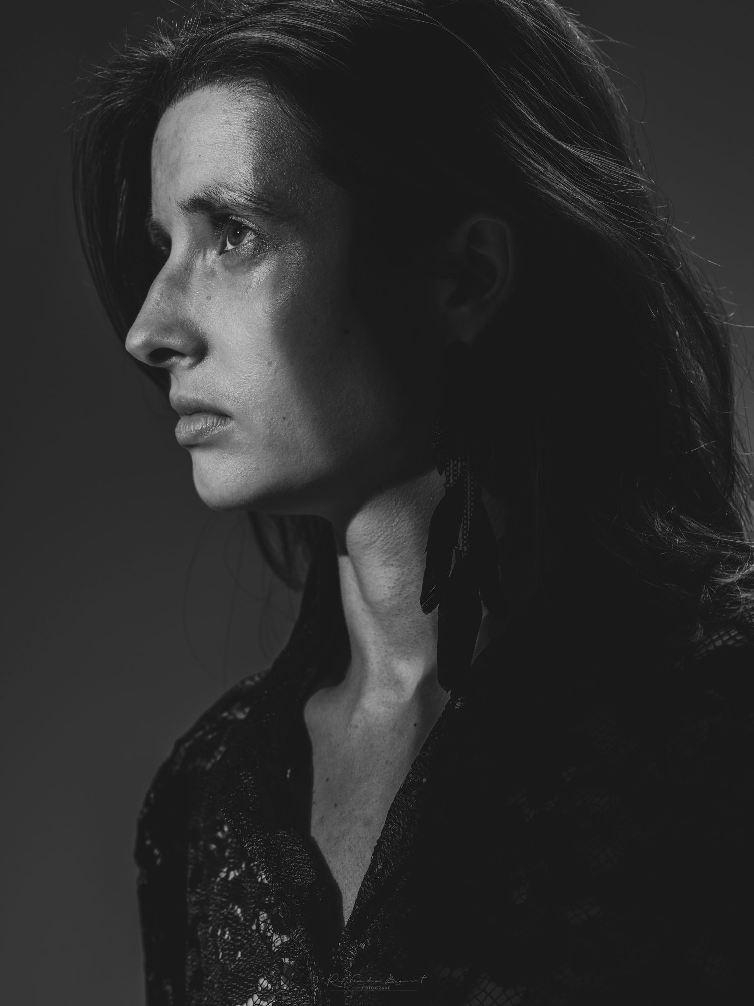 Search the light by Raf Van den Bogaert on YouPic
