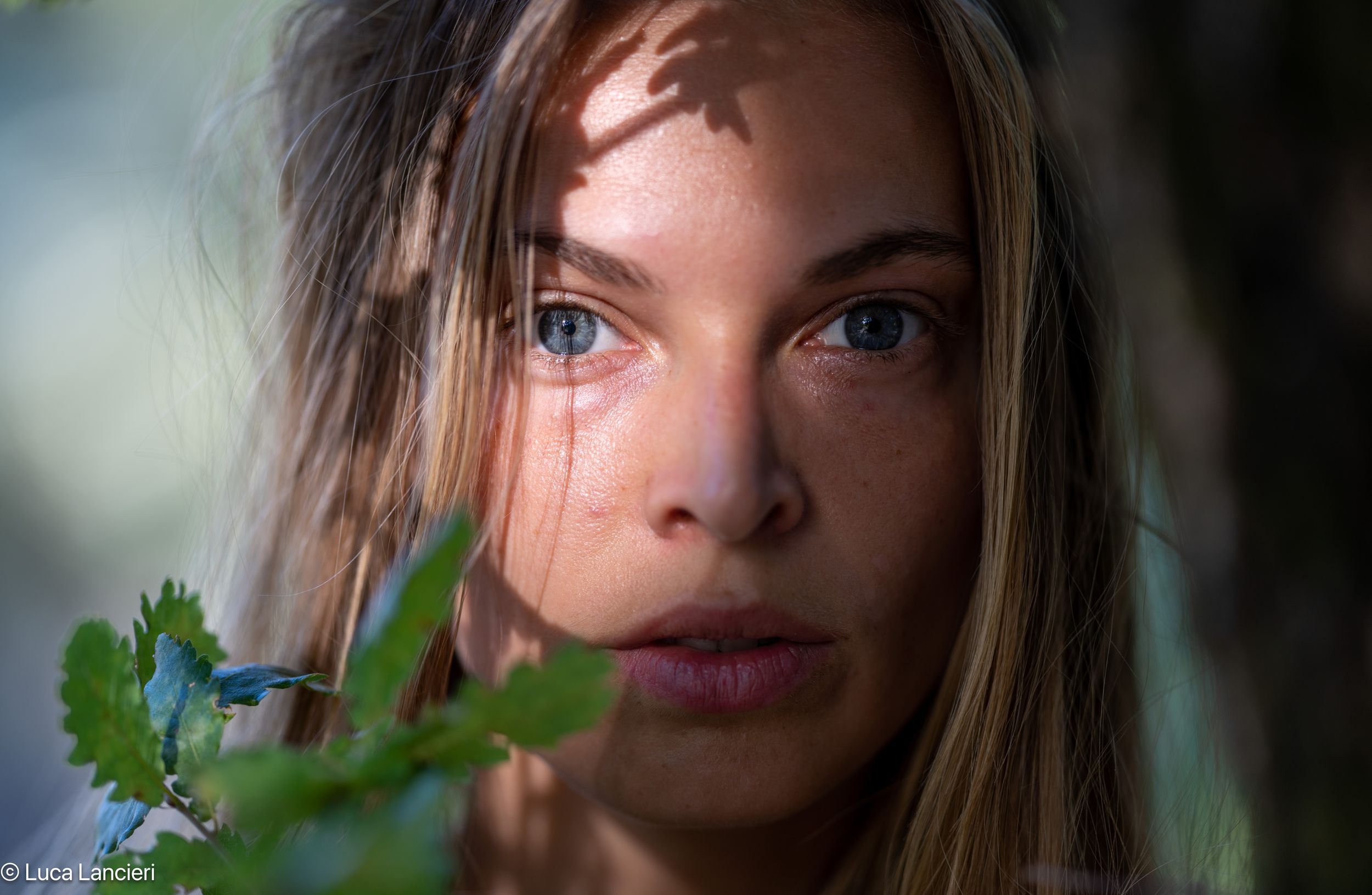 THE BEAUTIES THROUGH THE YEARS by Luca Lancieri on YouPic