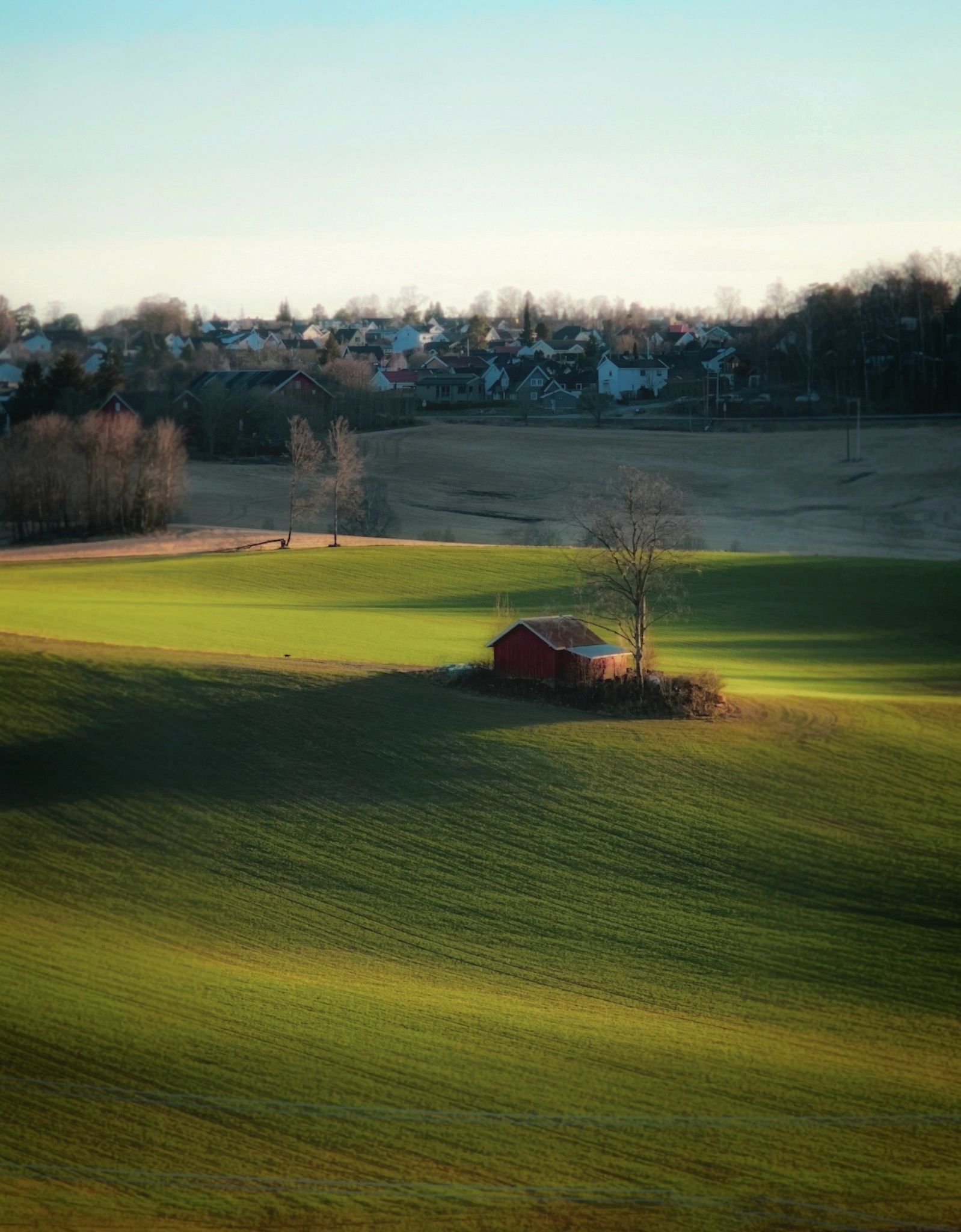 Oasis in town by Alina Filimonova on YouPic