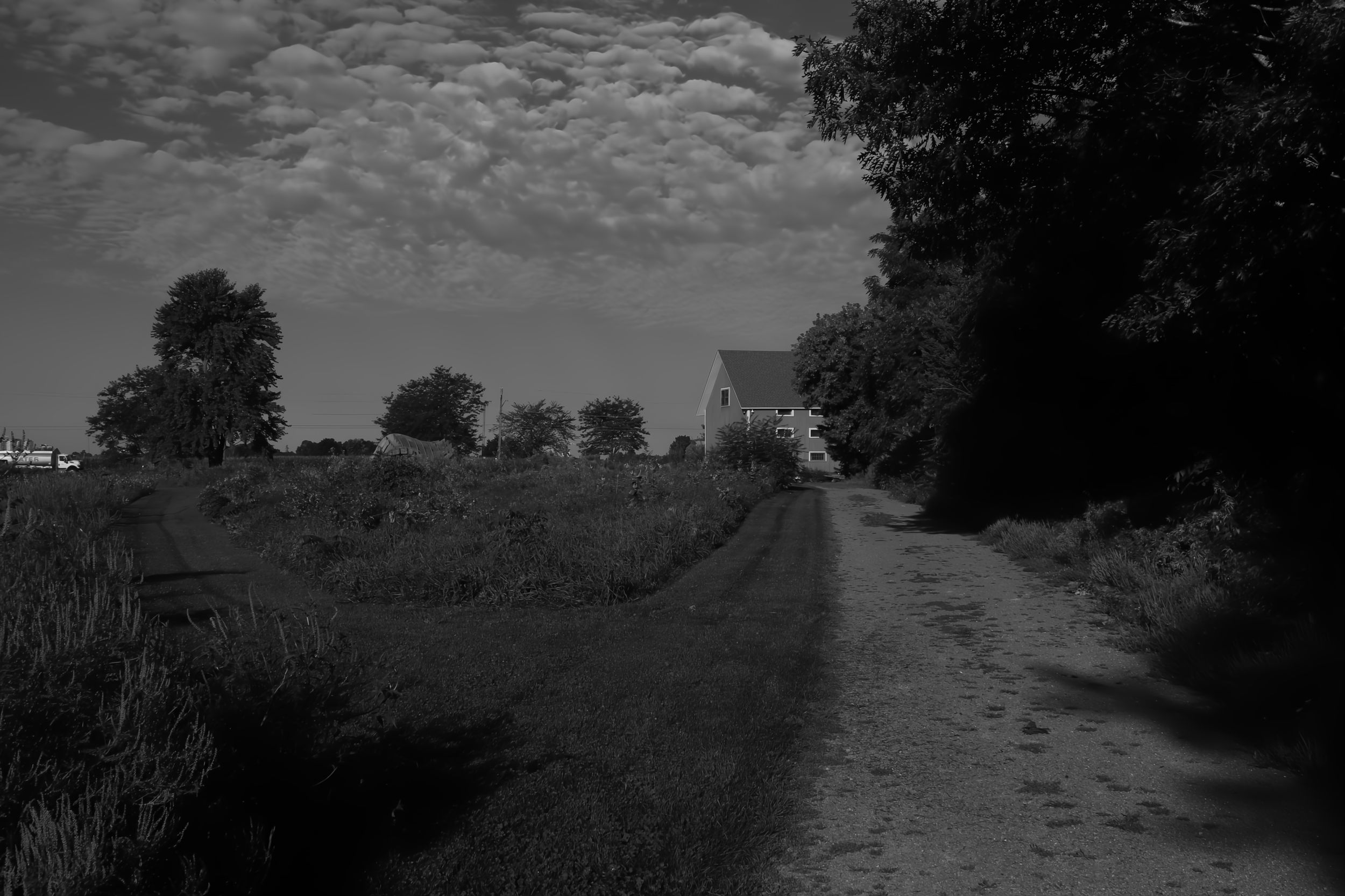 The Farm Road by Chris Defalco on YouPic