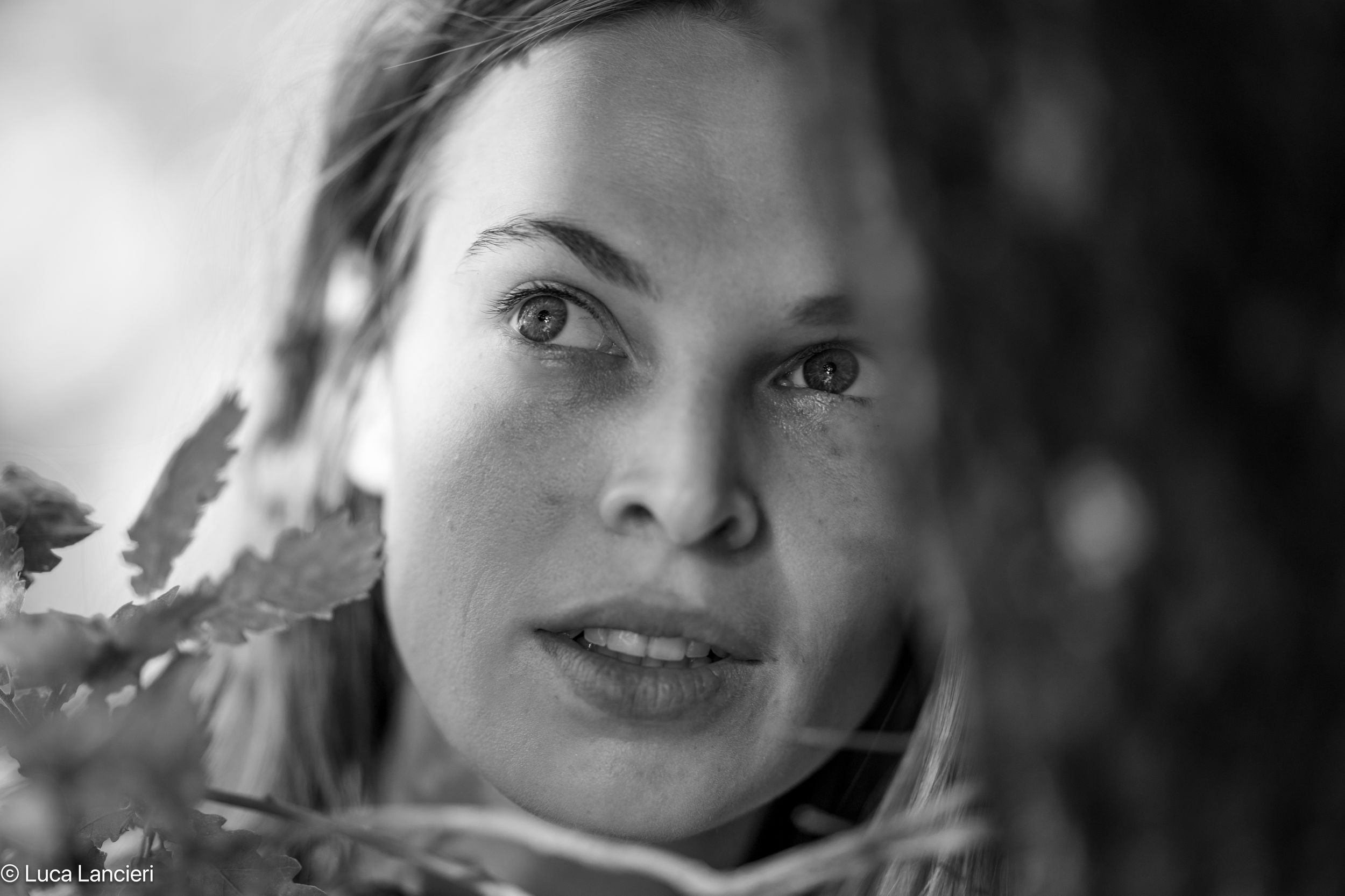 THE BEAUTIES THROUGH THE YEARS by Luca Lancieri on YouPic