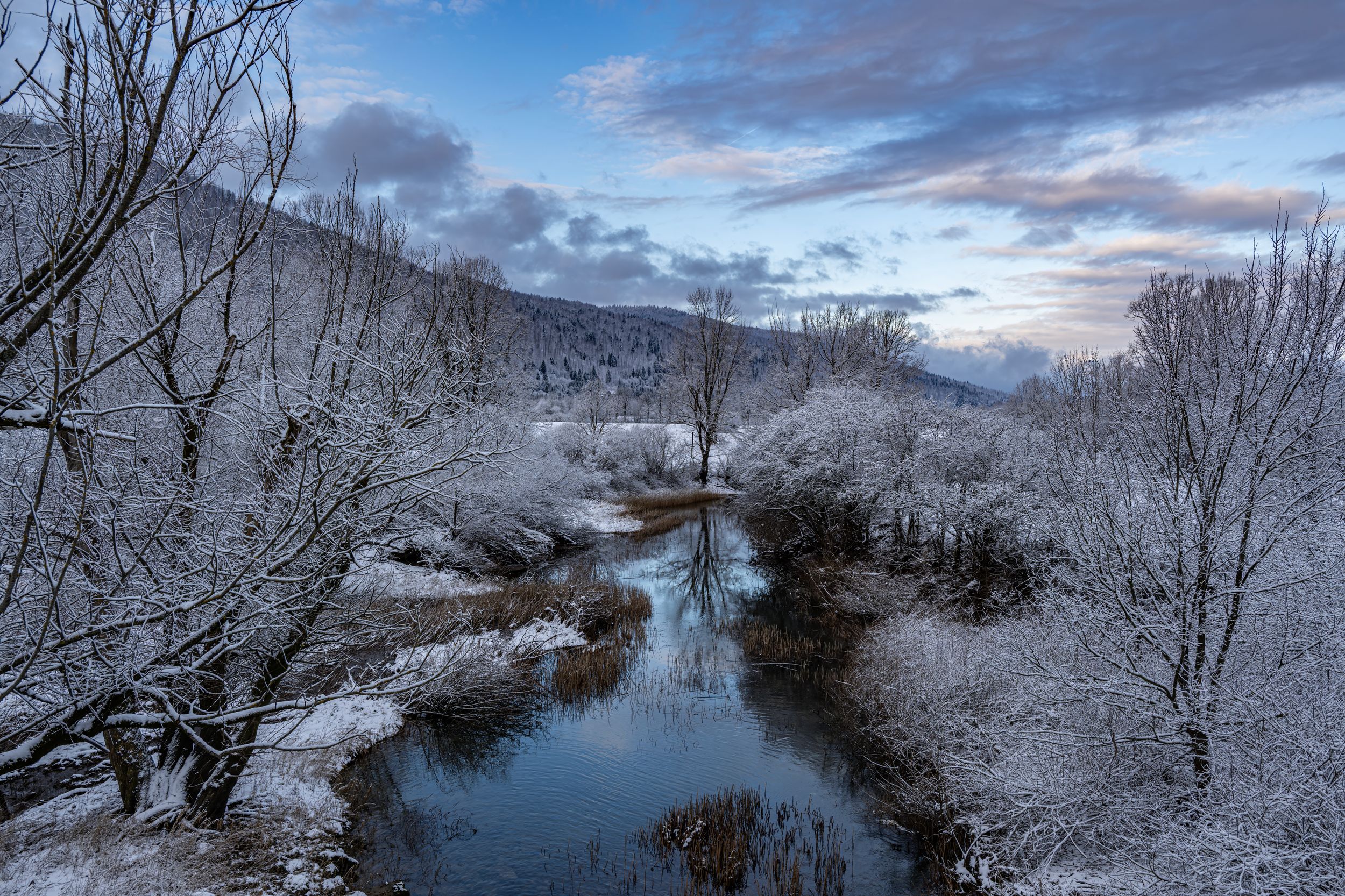 A quiet winter moment on the Planina Plain by Klemen Jagodič on YouPic