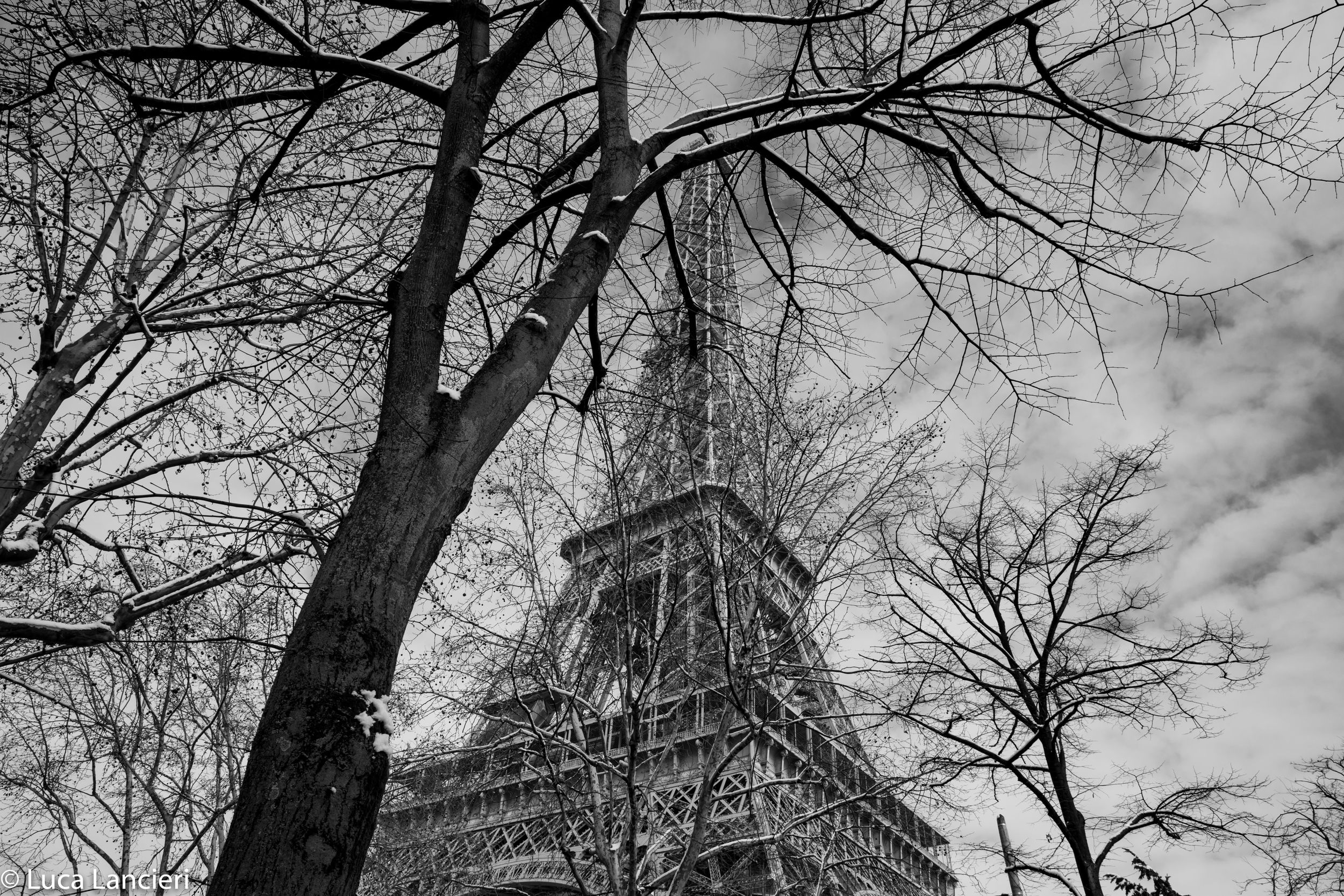 THE BEAUTIES THROUGH THE YEARS by Luca Lancieri on YouPic