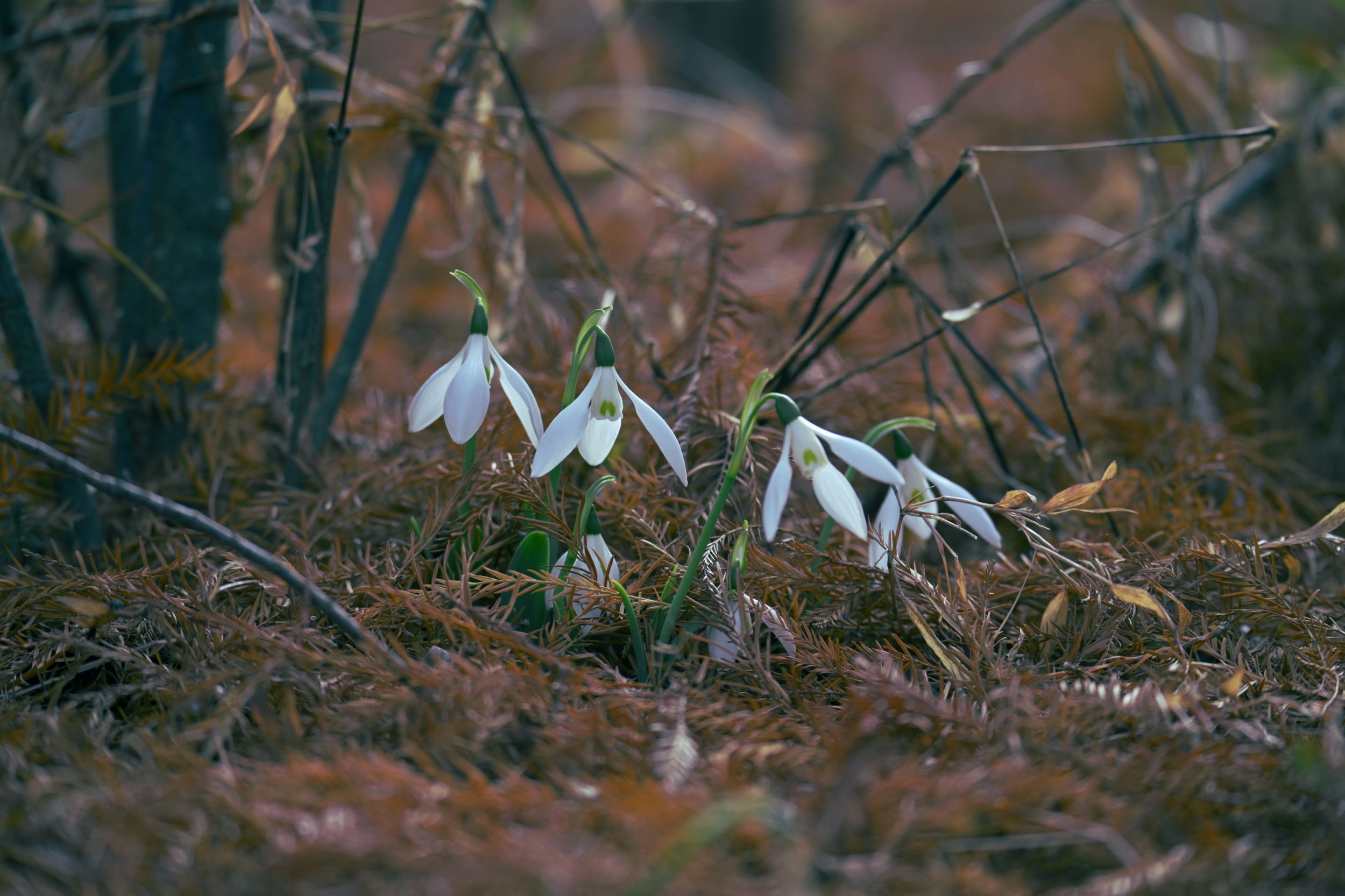 Angels has fallen from heaven by Yoshihisa Mishima on YouPic